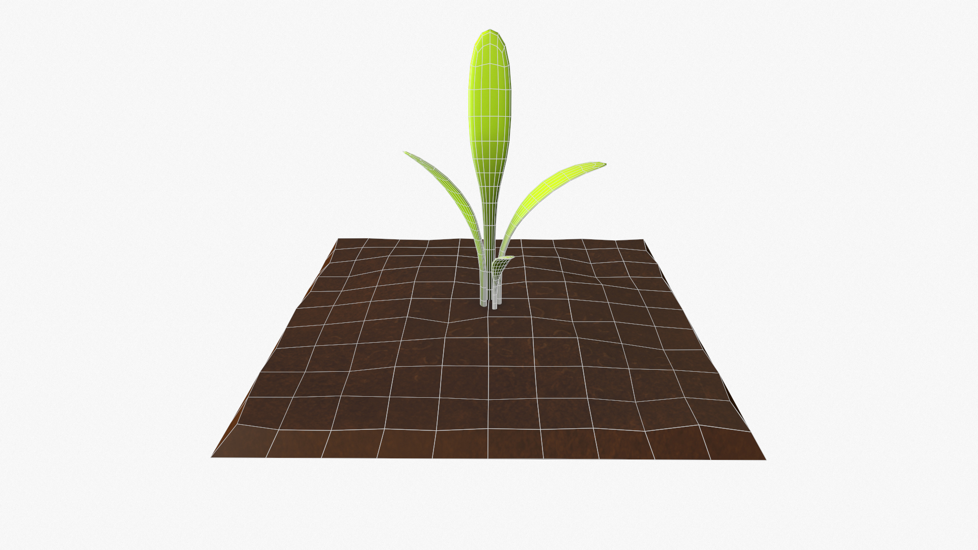 3D Cartoon Vegetable Plot - TurboSquid 1774444