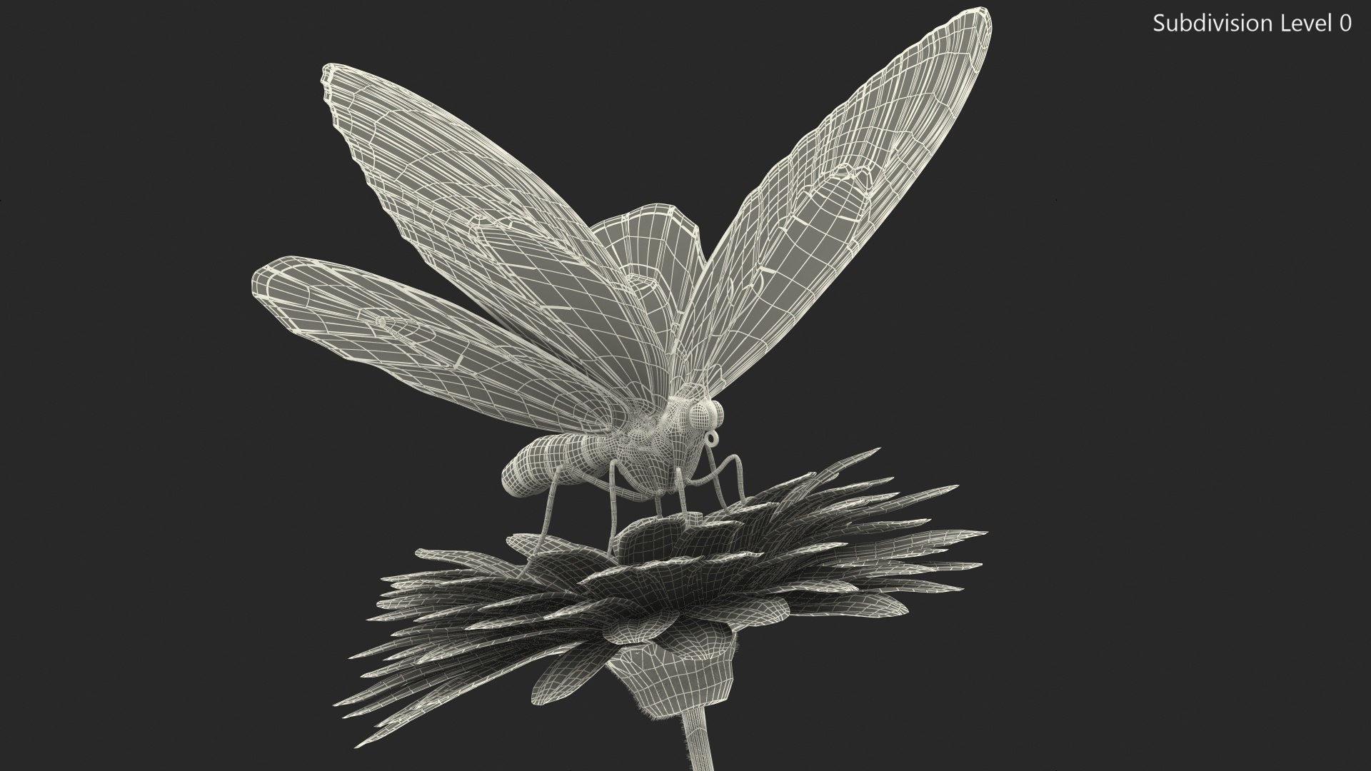 Yellow Gerbera Flower With Queen Alexandras Birdwing Butterfly Fur 3D ...