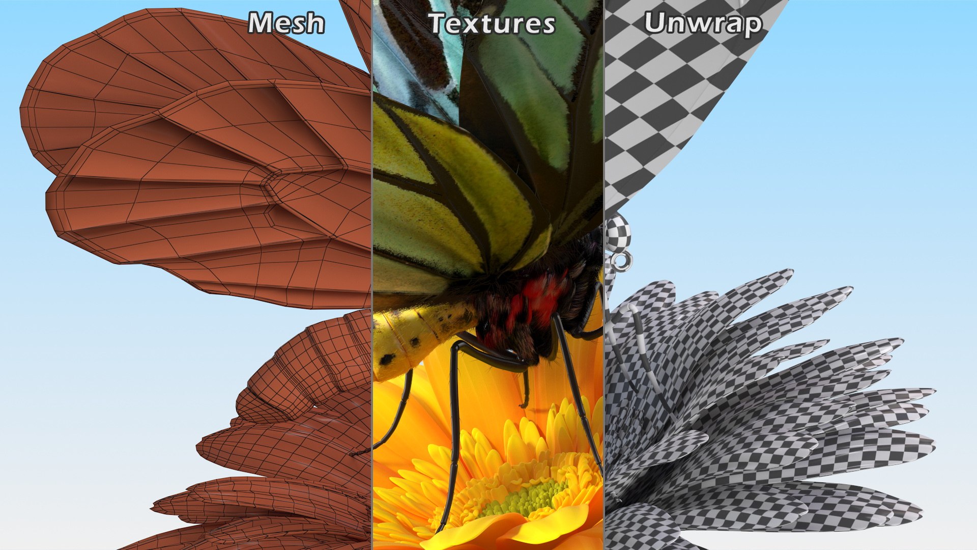 Yellow Gerbera Flower With Queen Alexandras Birdwing Butterfly Fur 3D ...