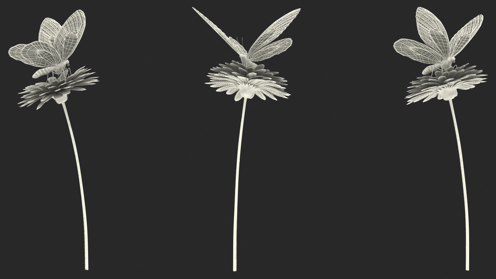 Yellow Gerbera Flower with Queen Alexandras Birdwing Butterfly Fur 3D ...