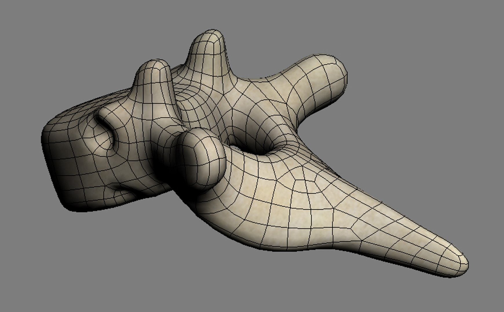 3d Model Of Realistic Anatomy Skeleton Skin