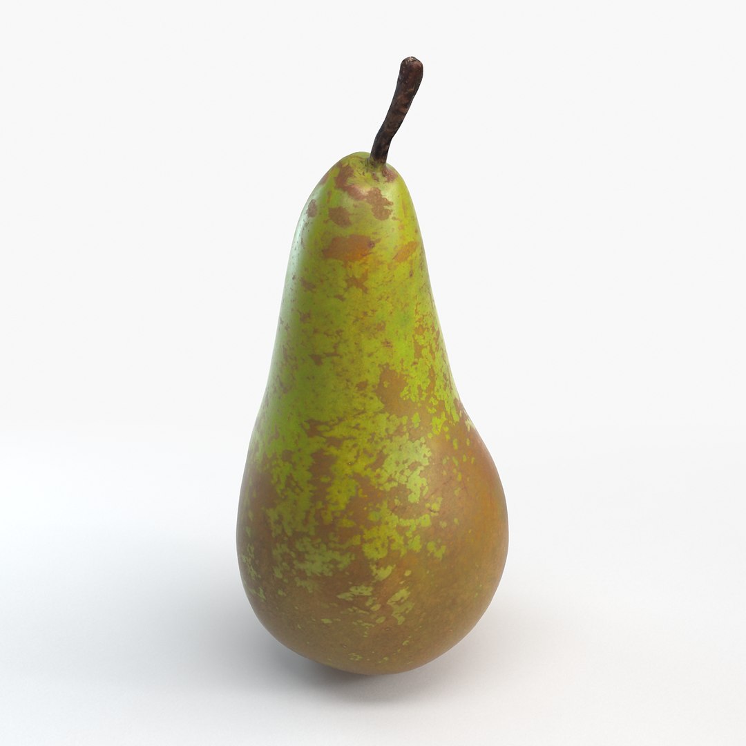 Packham Conference Pears 3d Model