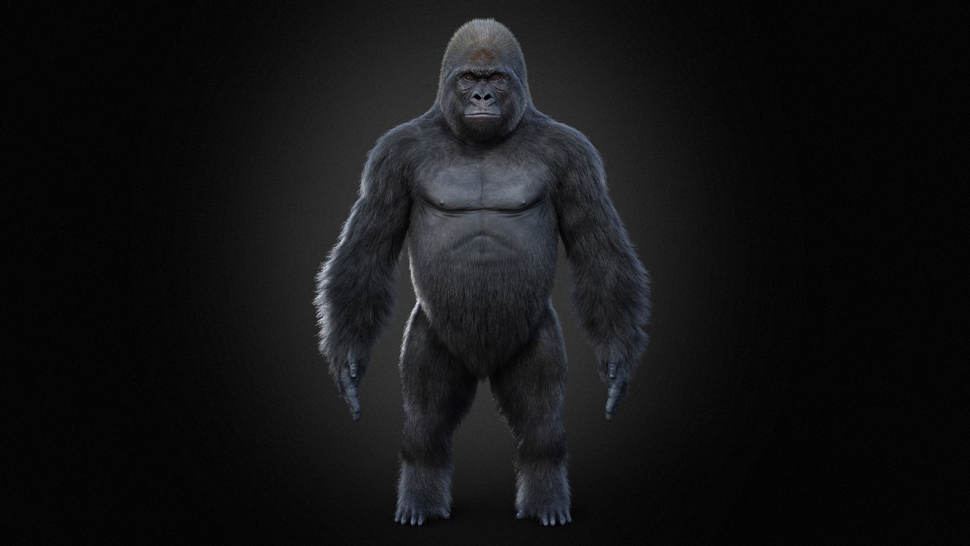 3D GORILLA 3 Static Version XGEN-CORE - TurboSquid 2350352