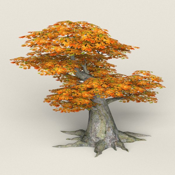 3D maple tree - TurboSquid 1644723