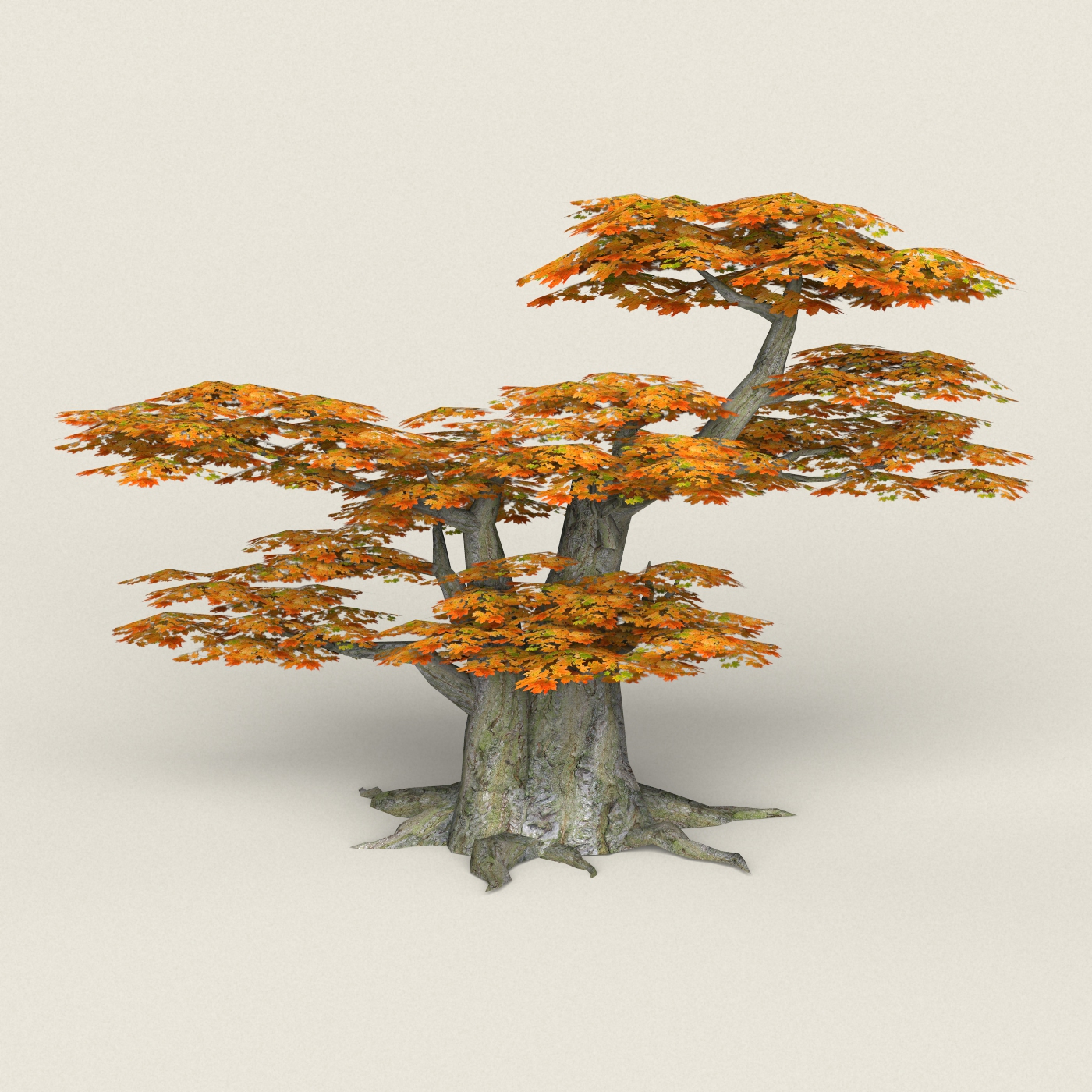 3D maple tree - TurboSquid 1644723