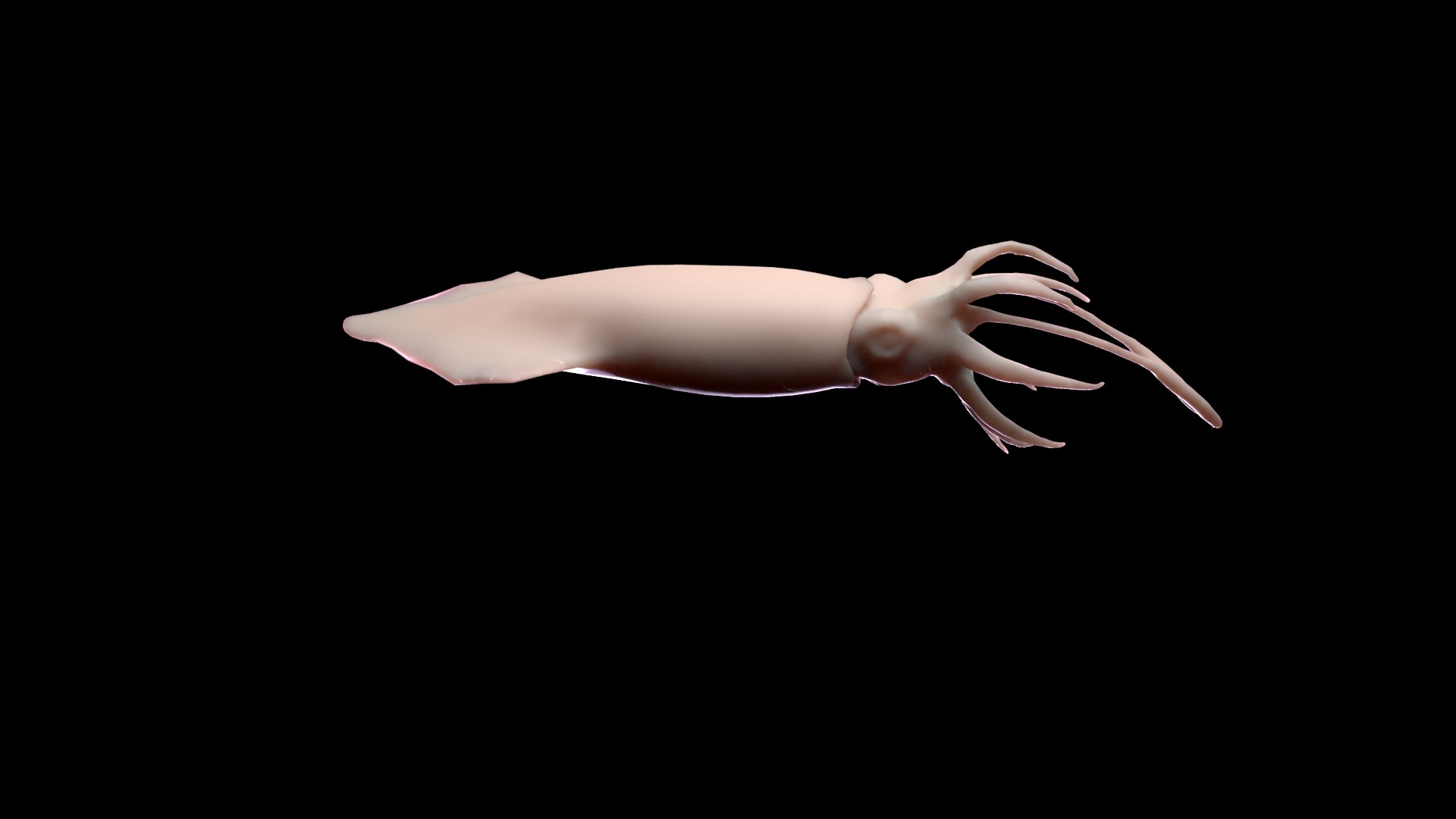 Max Squid Realistic Animation
