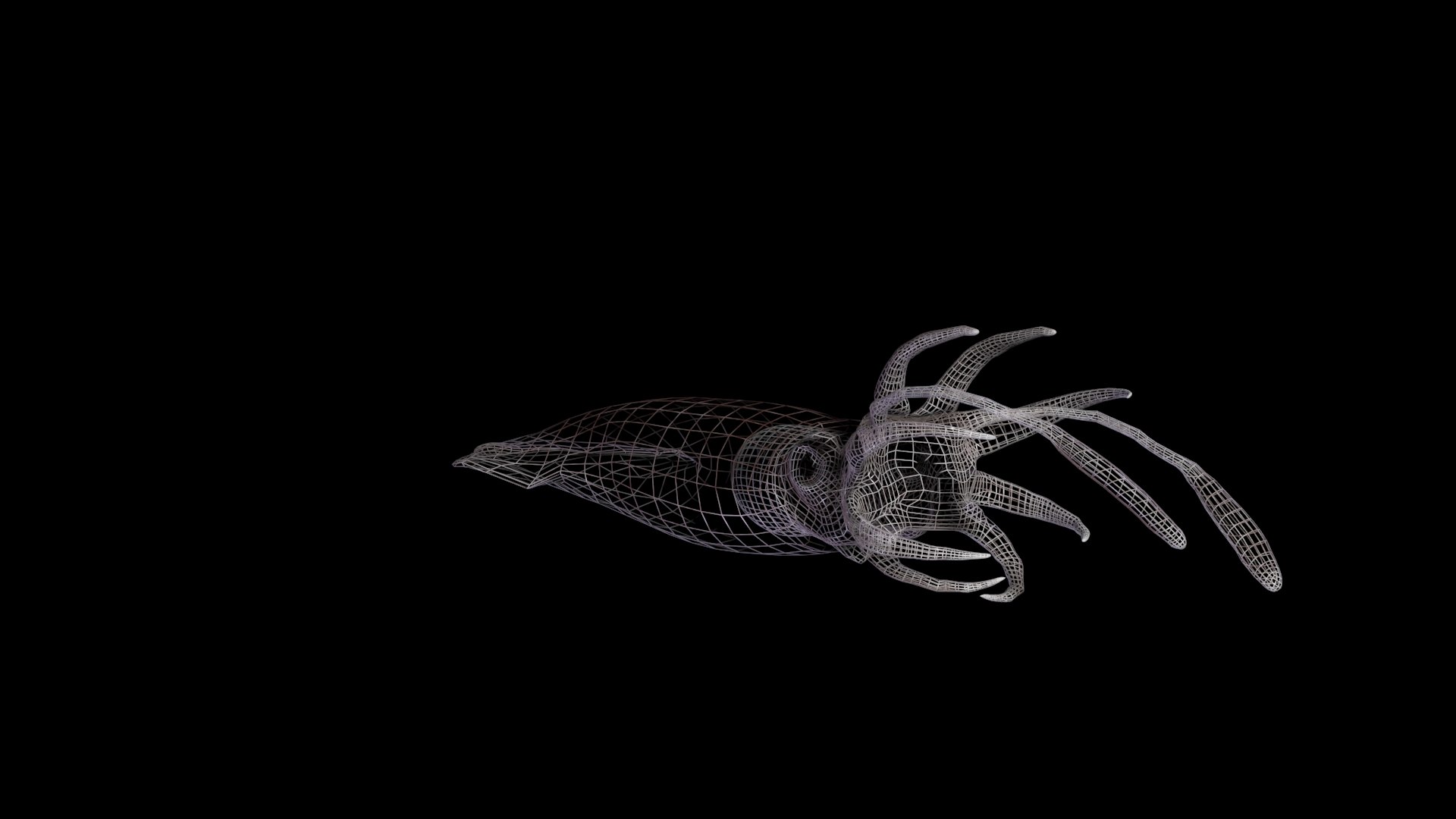 Max Squid Realistic Animation