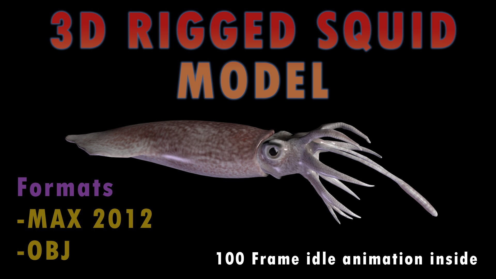 Max Squid Realistic Animation