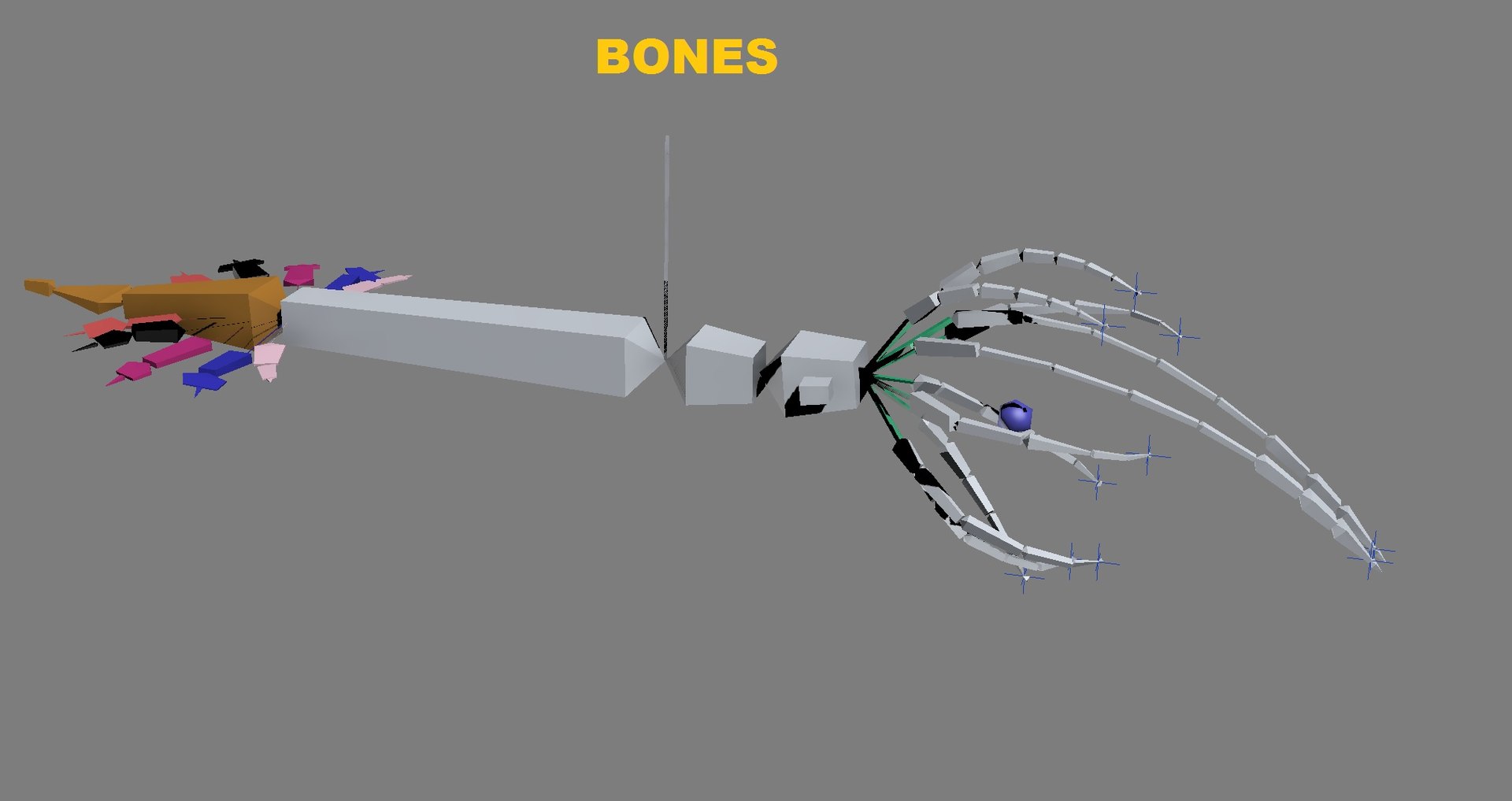 Max Squid Realistic Animation