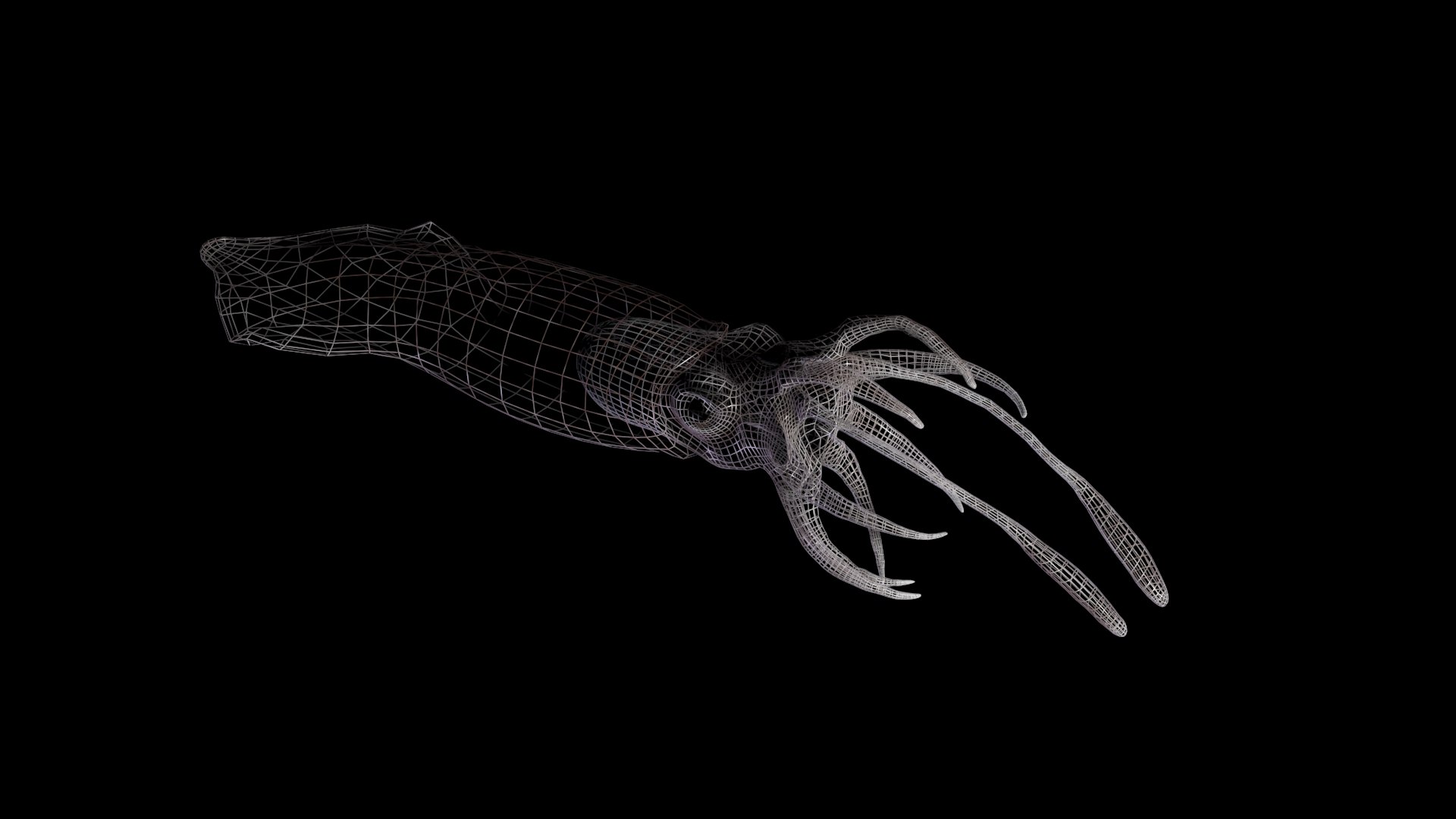Max Squid Realistic Animation
