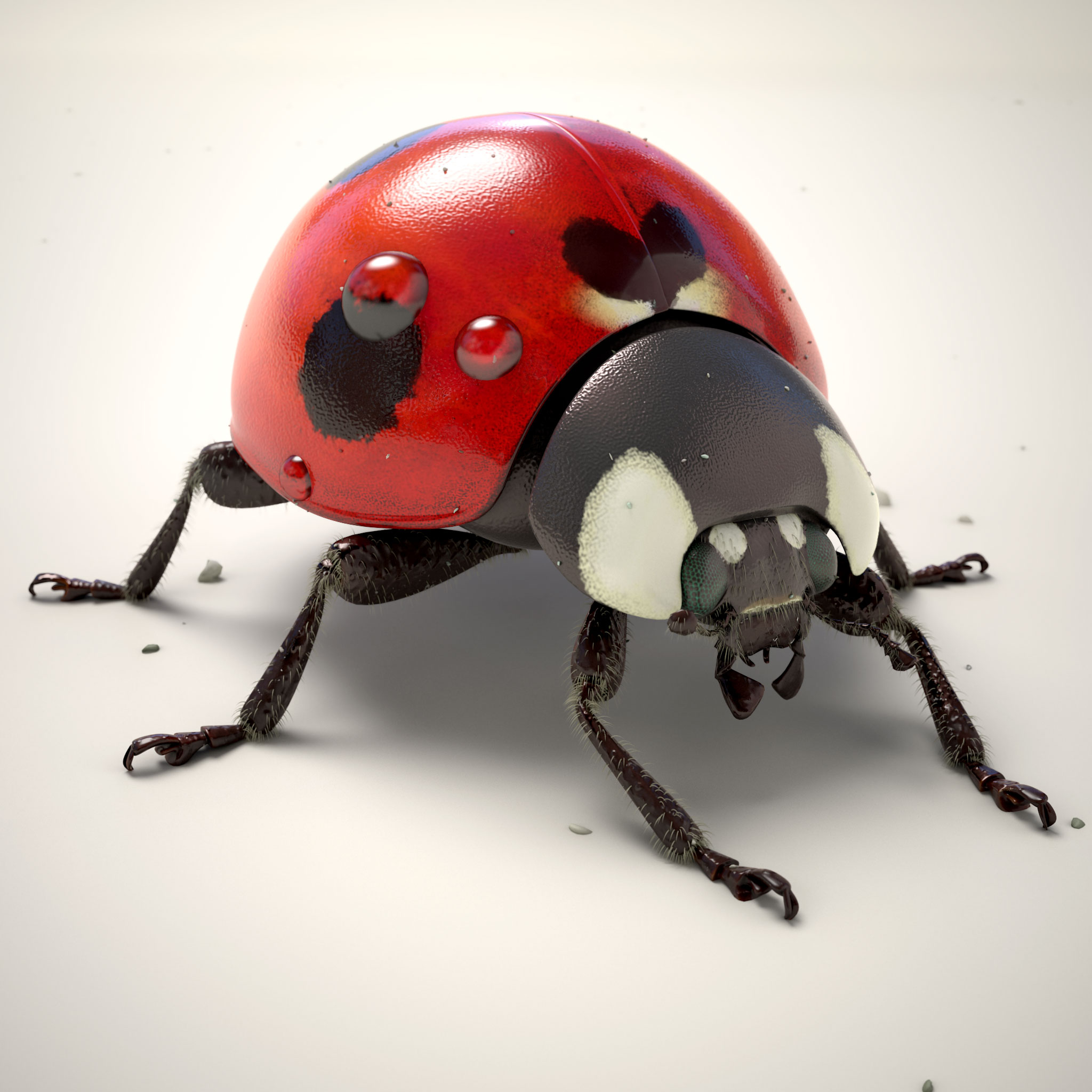 3d animation ladybug v-ray fur model