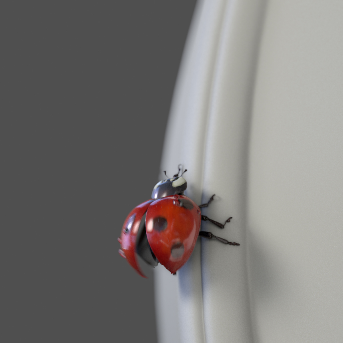 3d animation ladybug v-ray fur model