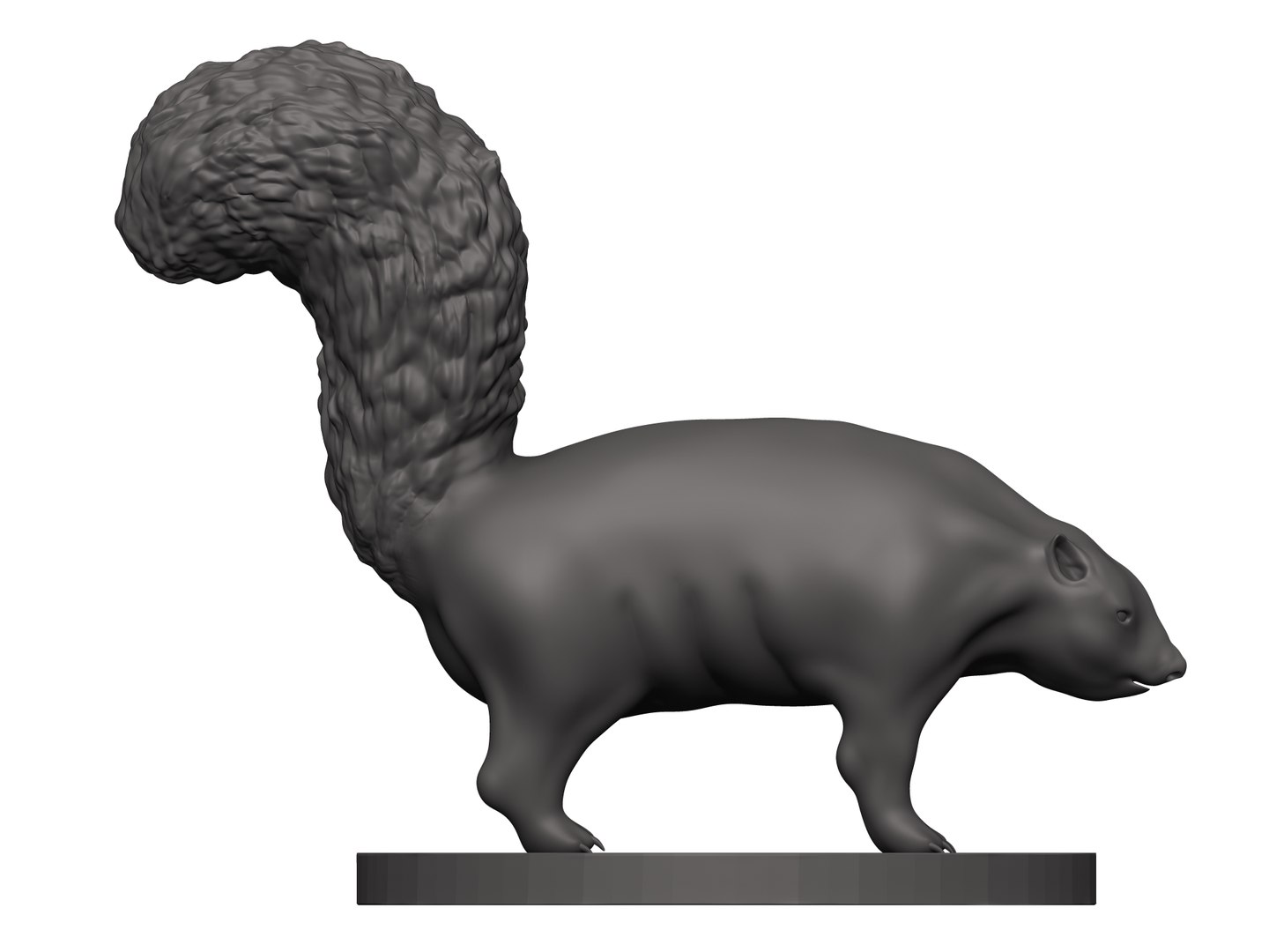 3D Realistic Skunk - TurboSquid 1874435