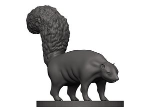 Skunk 3D Models for Download | TurboSquid