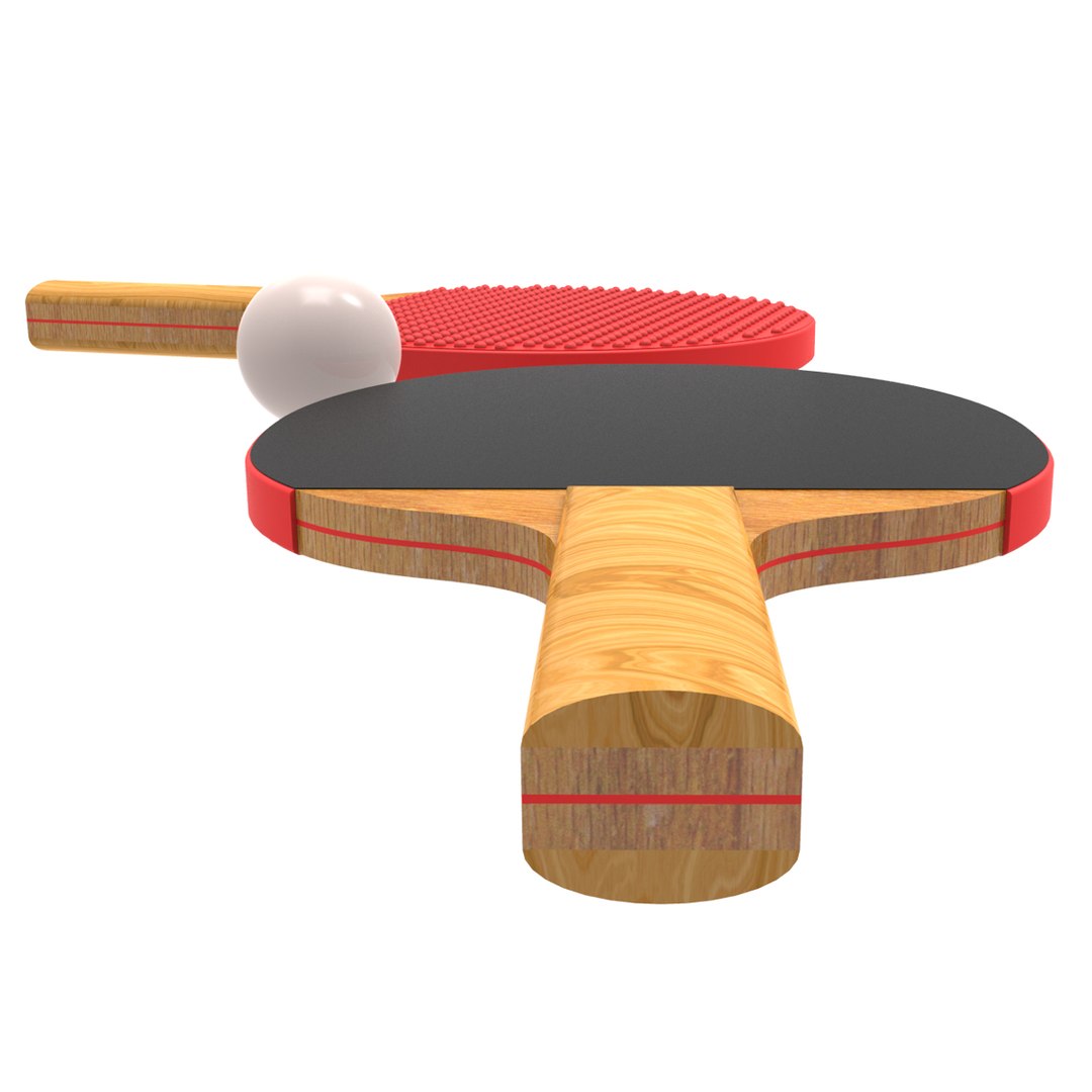 3d Rhino Render Model