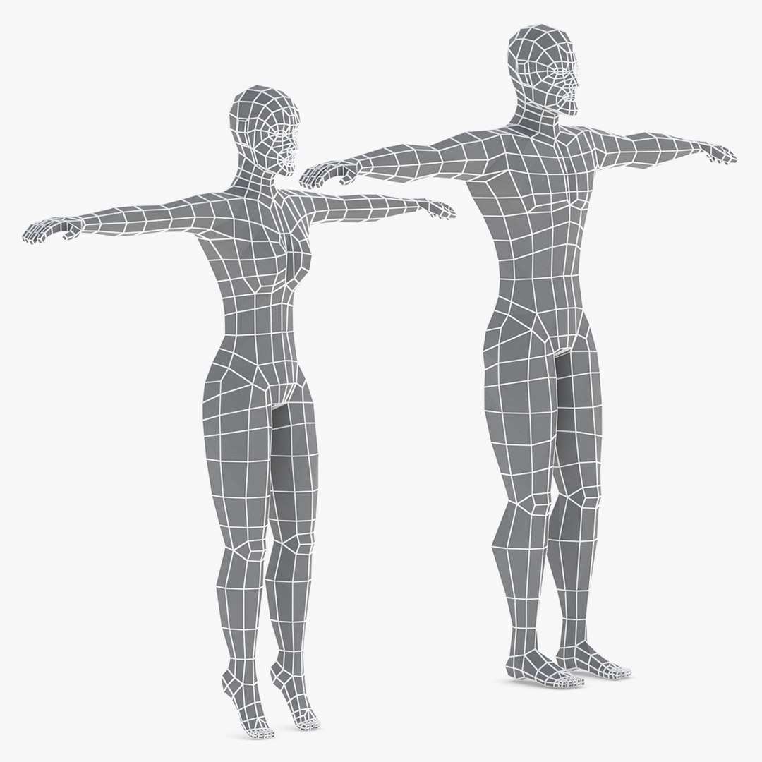 Base Mesh Female Male Model - TurboSquid 1539834