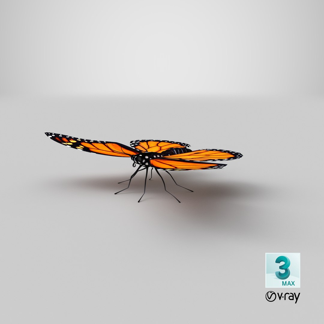 Realistic monarch butterfly 3D model - TurboSquid 1269215