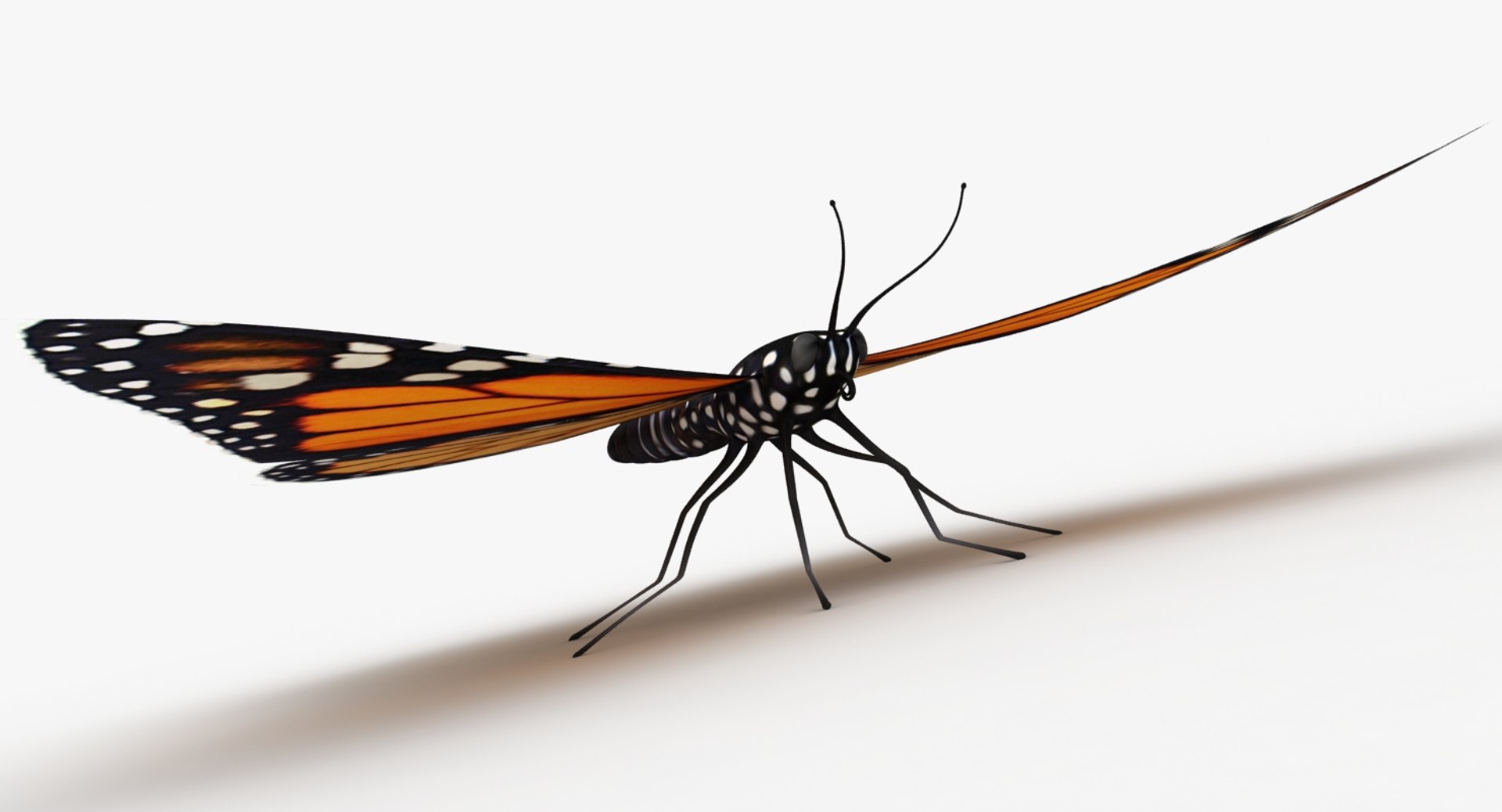 Realistic Monarch Butterfly 3D Model - TurboSquid 1269215