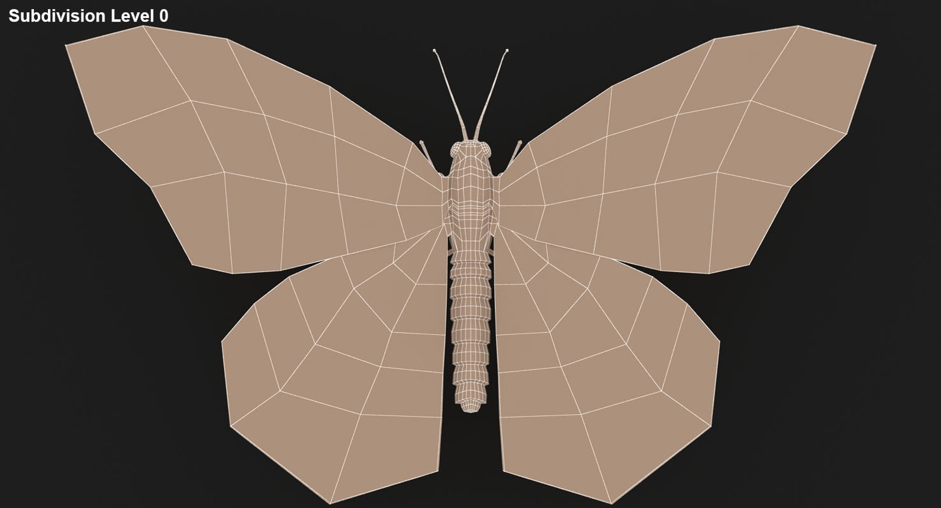 Realistic monarch butterfly 3D model - TurboSquid 1269215