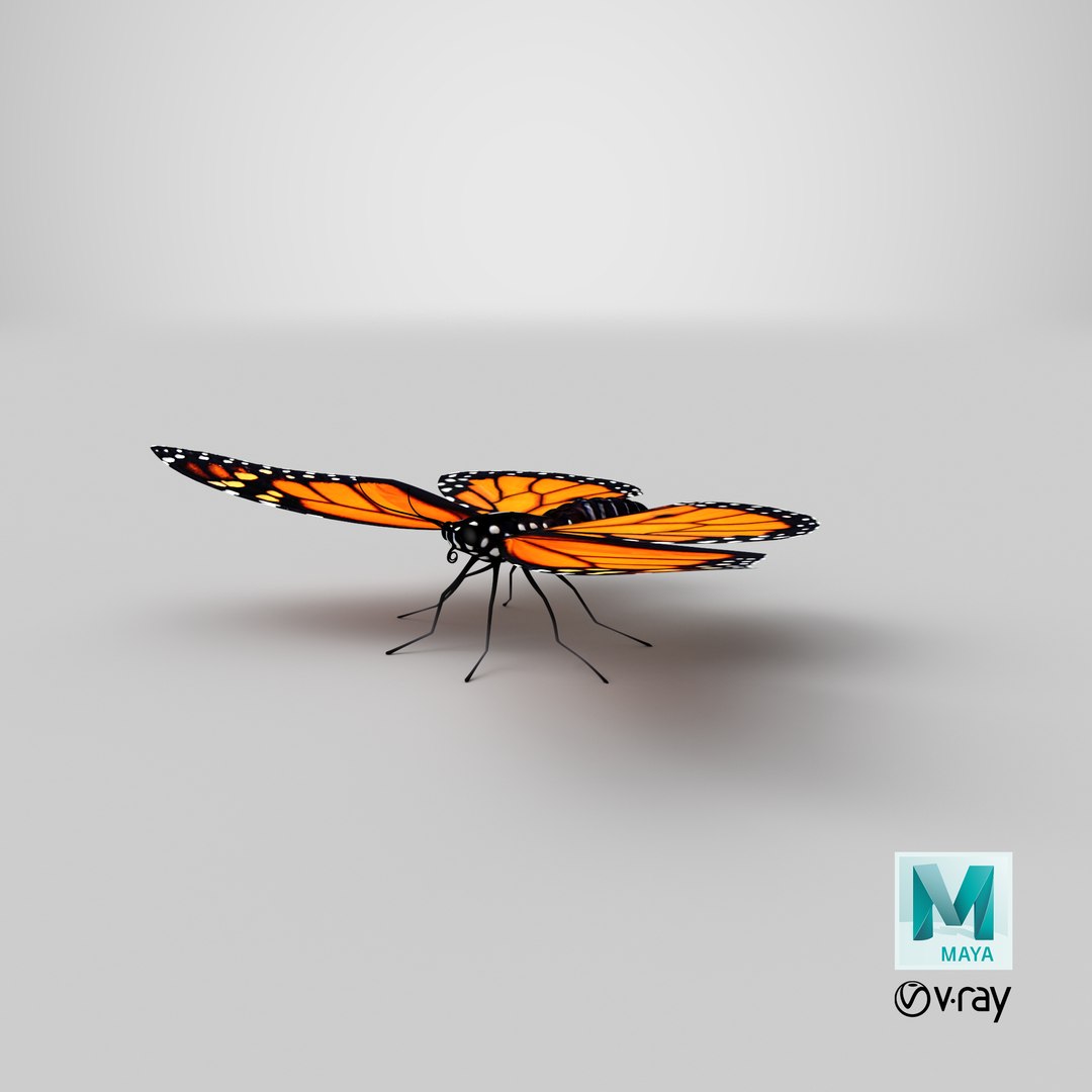 Realistic monarch butterfly 3D model - TurboSquid 1269215