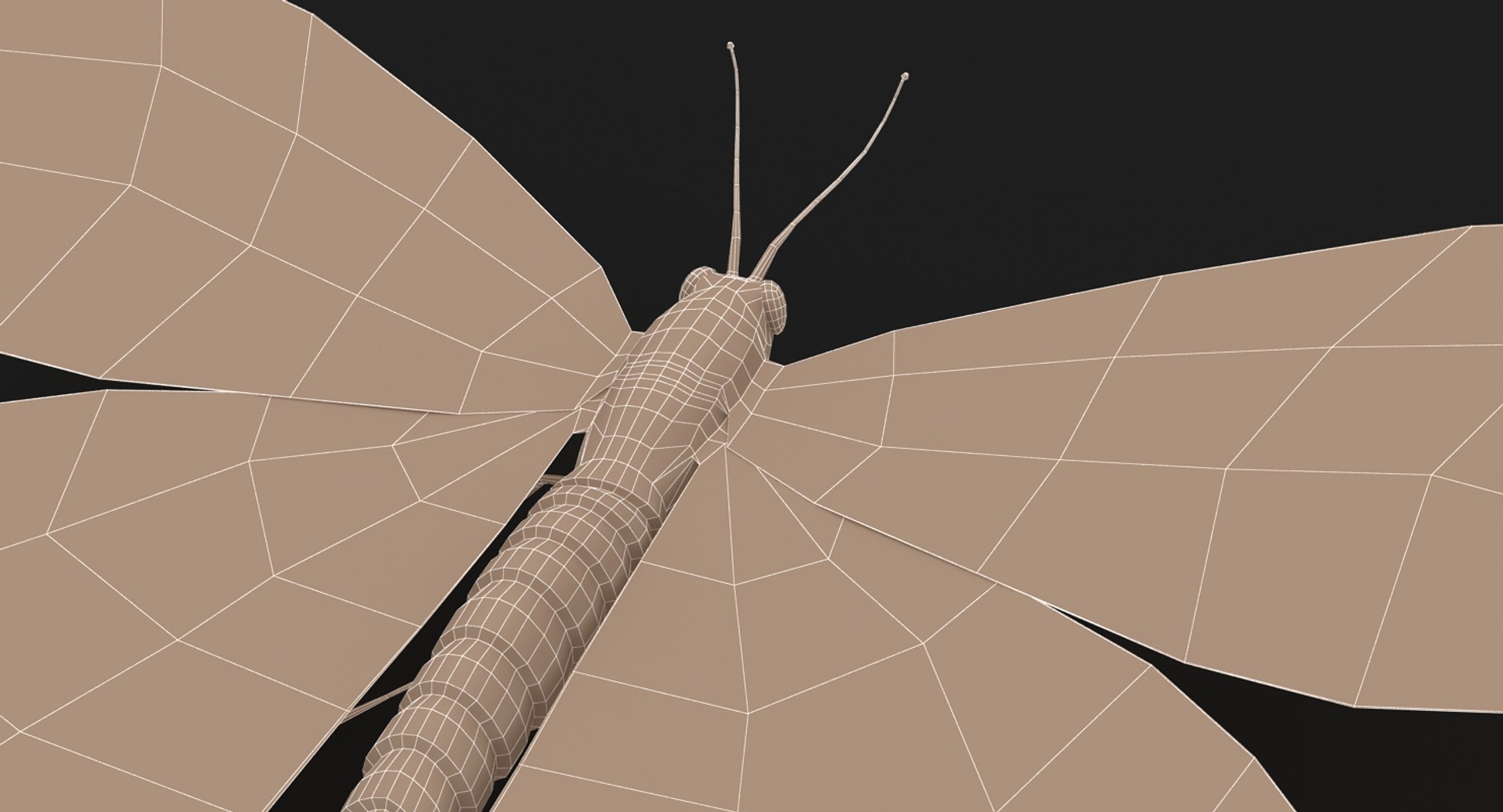 Realistic monarch butterfly 3D model - TurboSquid 1269215