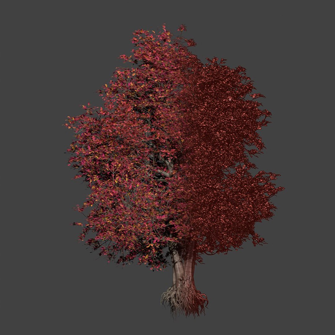 3D Model Natural Tree For Landscape Vol 215 - TurboSquid 2077656