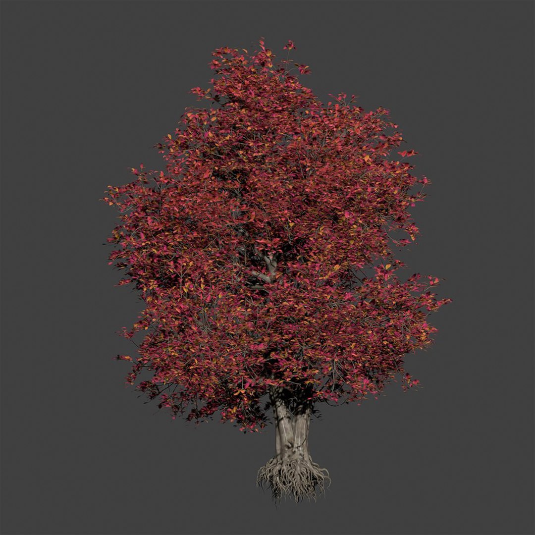 3D Model Natural Tree For Landscape Vol 215 - TurboSquid 2077656