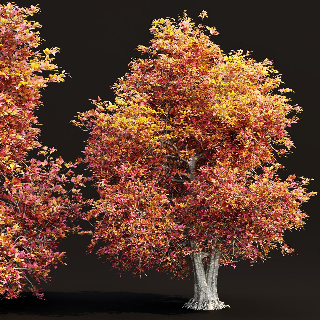 3D Model Natural Tree For Landscape Vol 215 - TurboSquid 2077656