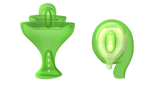Seed Pod OBJ Models for Download | TurboSquid