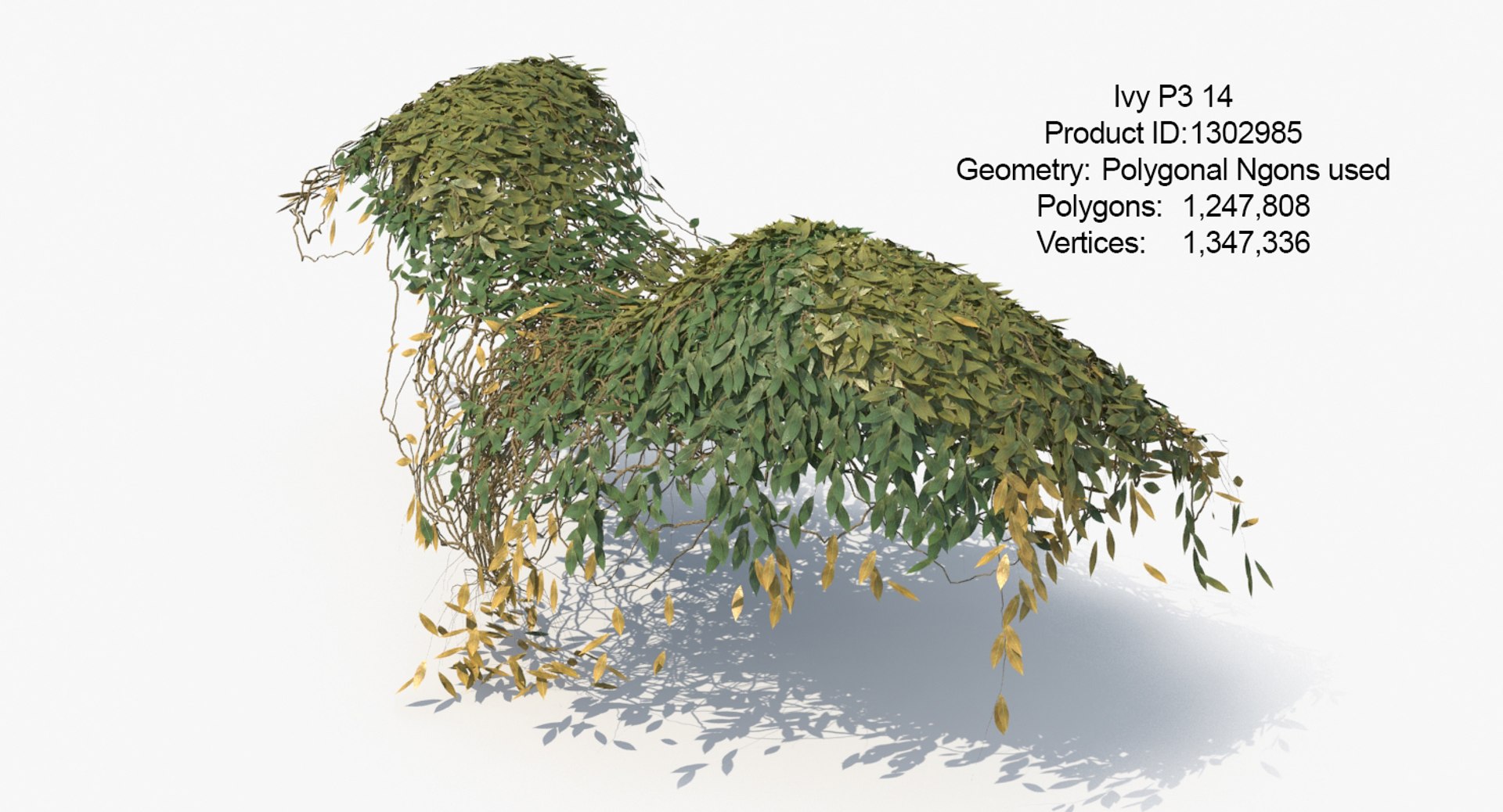 Ivy 03 model - TurboSquid 1402129