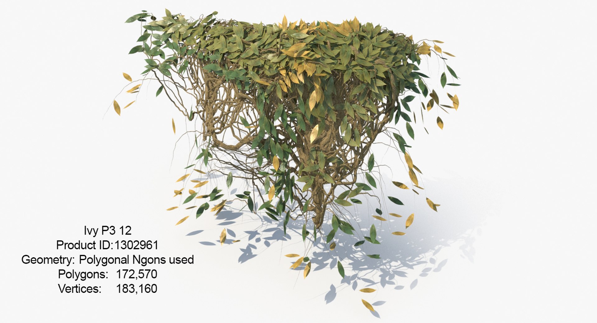 Ivy 03 model - TurboSquid 1402129