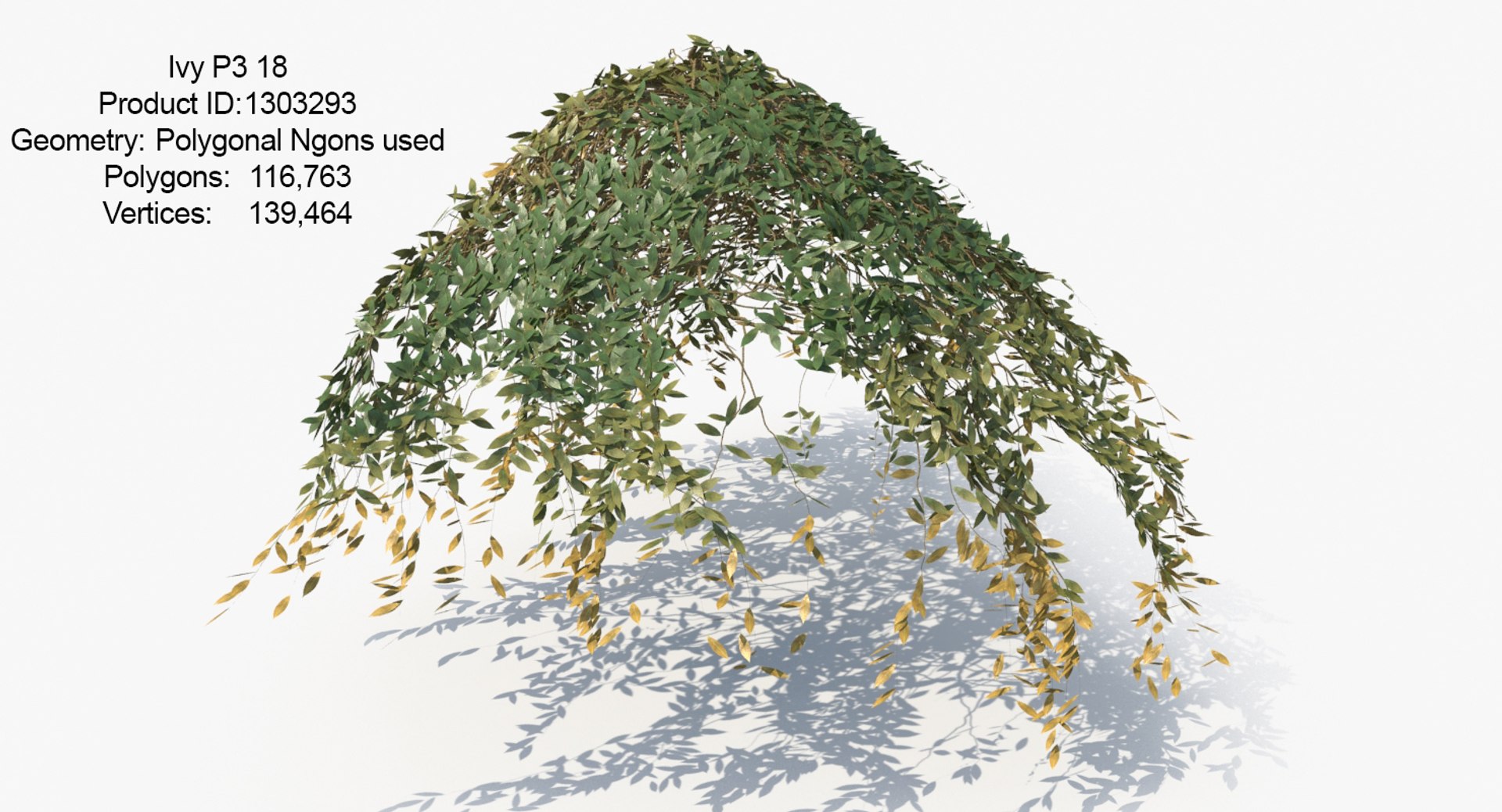 Ivy 03 model - TurboSquid 1402129