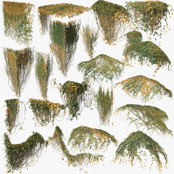 Flora And Fauna 3D Models for Download | TurboSquid