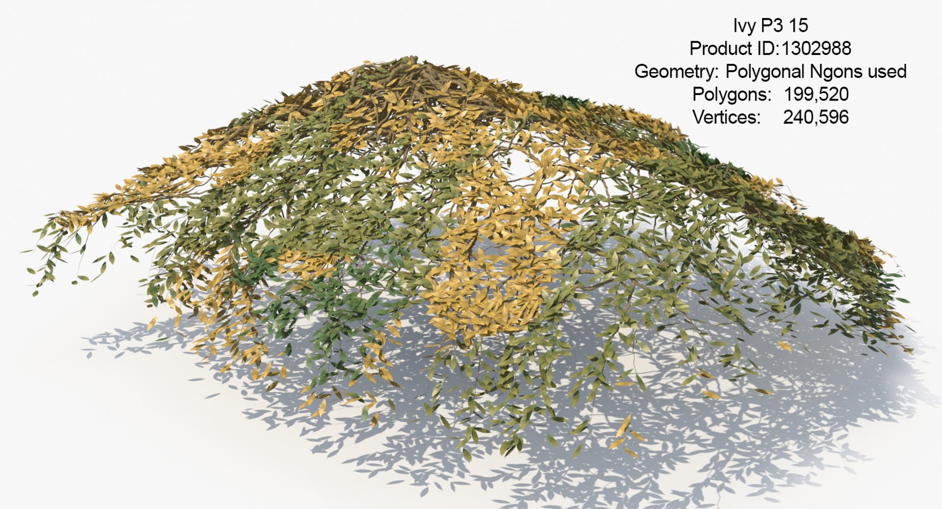 Ivy 03 model - TurboSquid 1402129