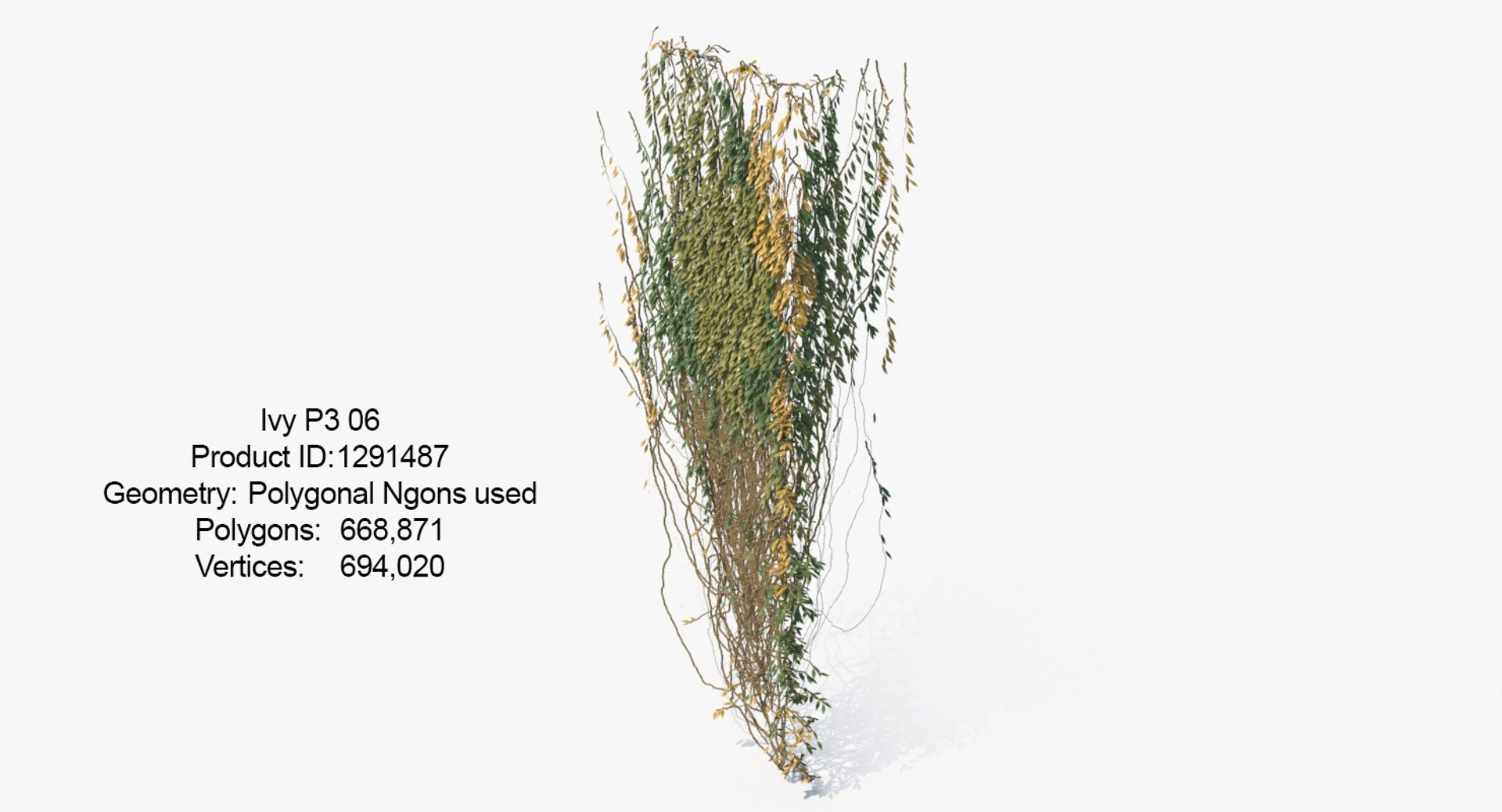 Ivy 03 model - TurboSquid 1402129