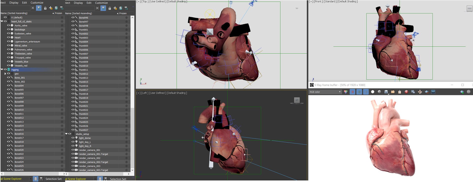 3D Human Heart v2 Animated model - TurboSquid 1754287