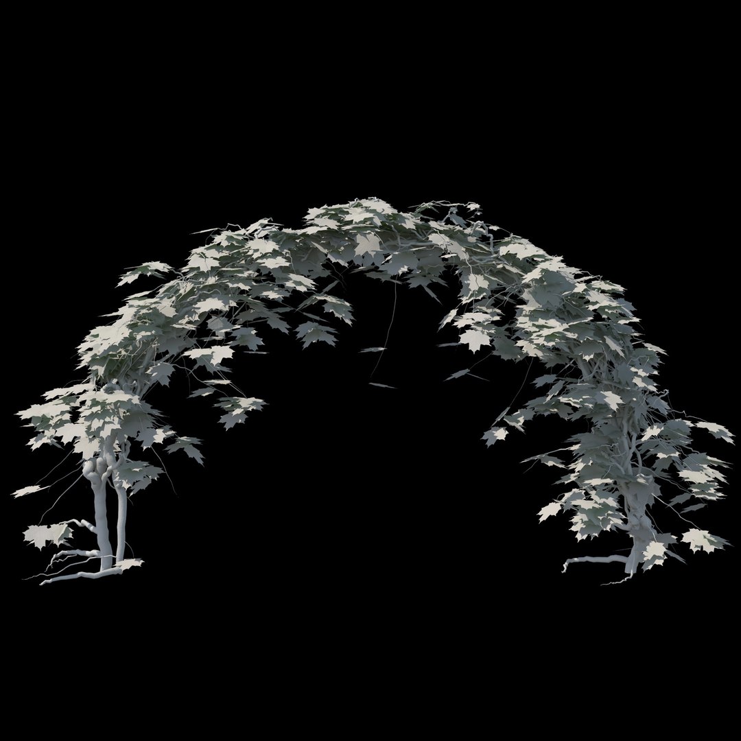 Realistic Ivy 3D Model - TurboSquid 1151355