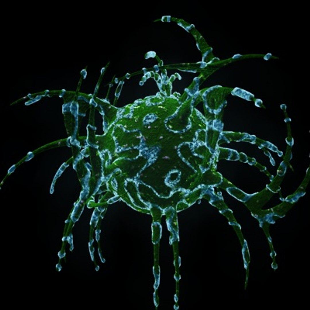 Neurons Glial Cells Model