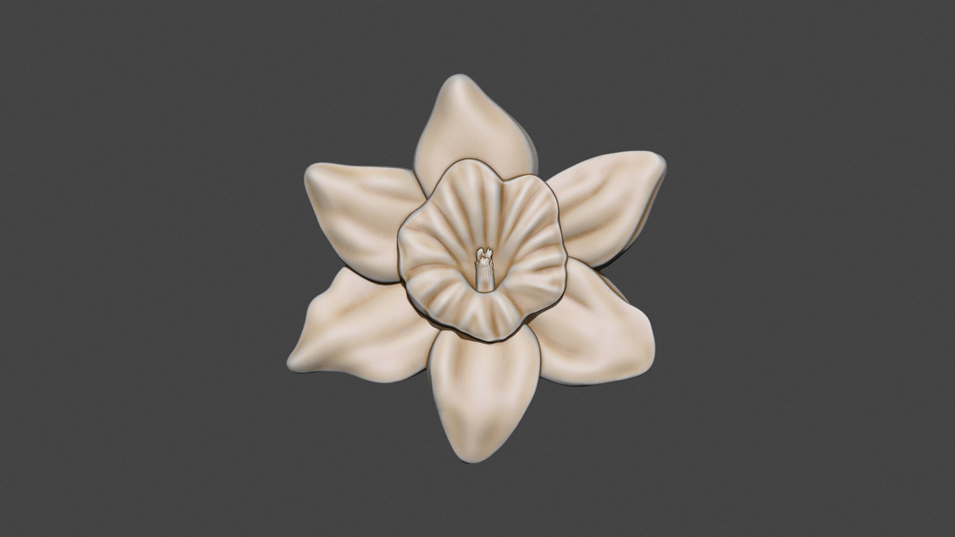 Daffodil Flower Bas Relief 3D Model - TurboSquid 2367290