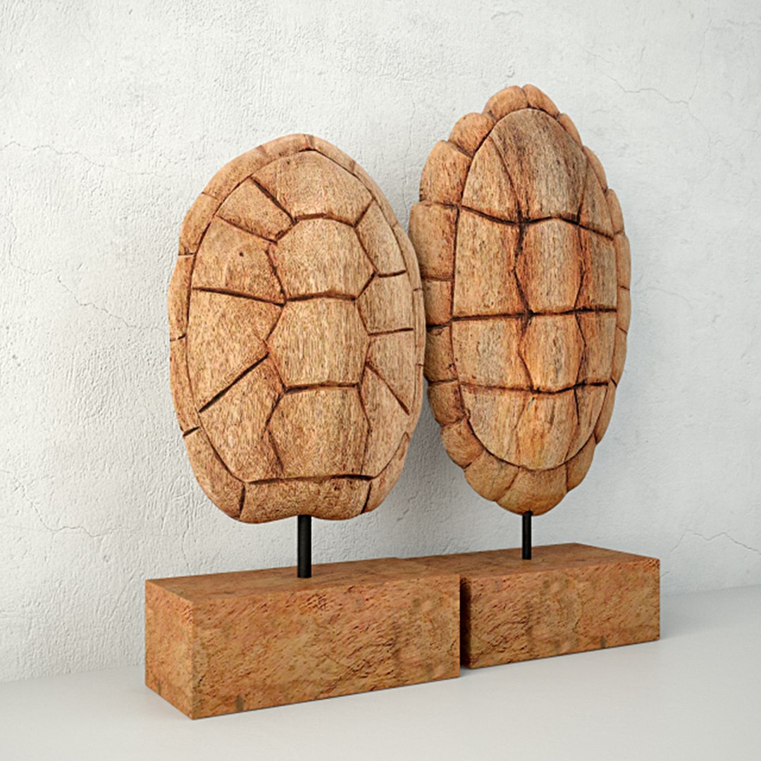 3D Sunset Cove Tortoise Shell - TurboSquid 1203182