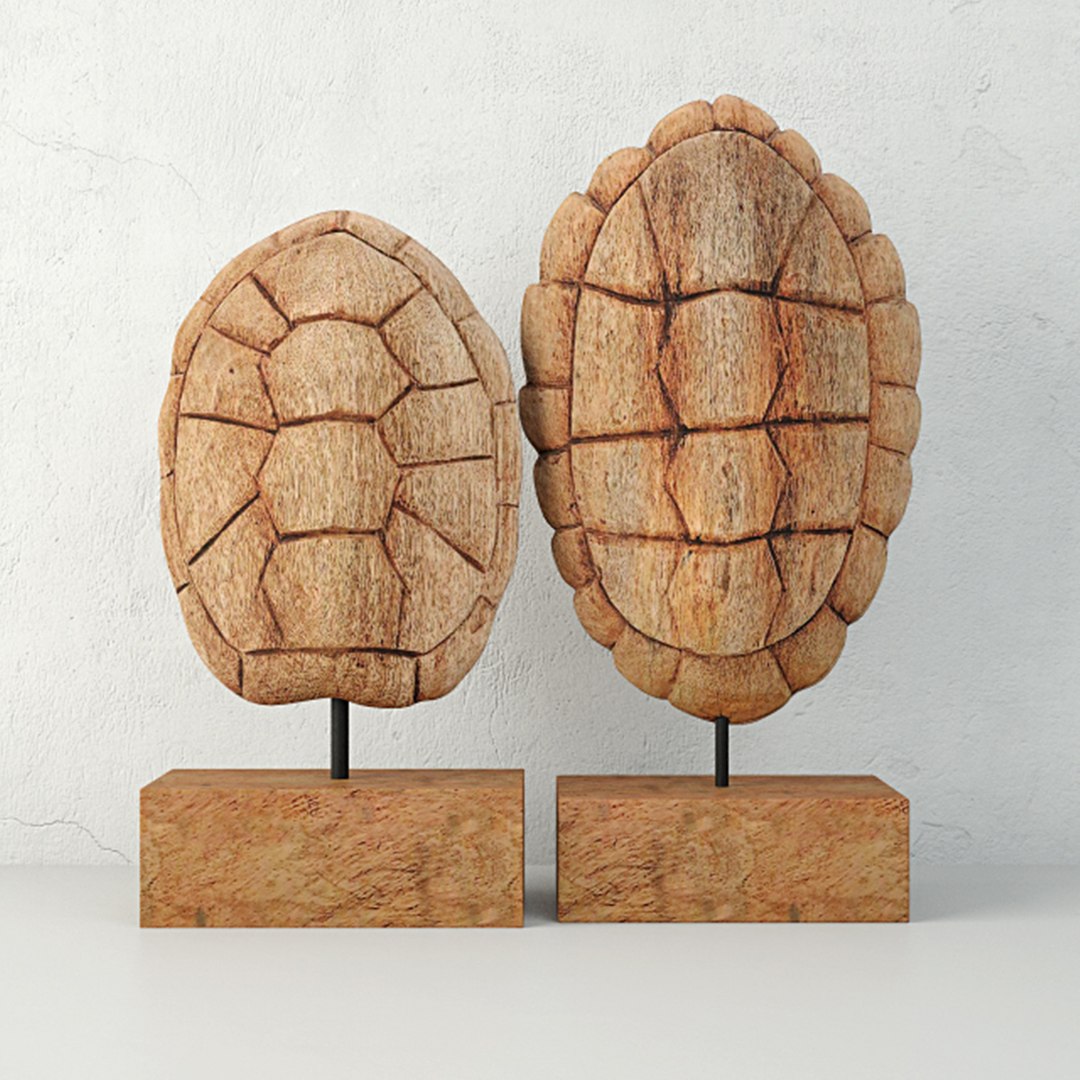 3D Sunset Cove Tortoise Shell - TurboSquid 1203182