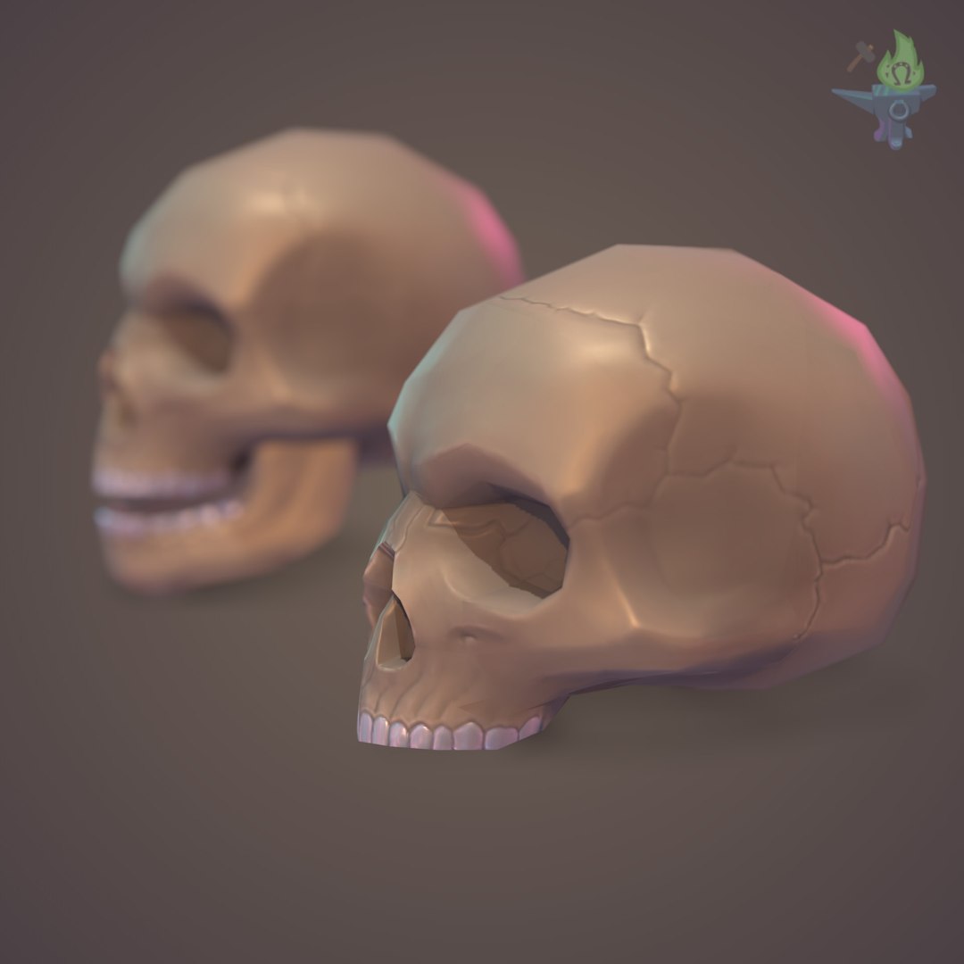 3D Cranium Skull Model - TurboSquid 1346434