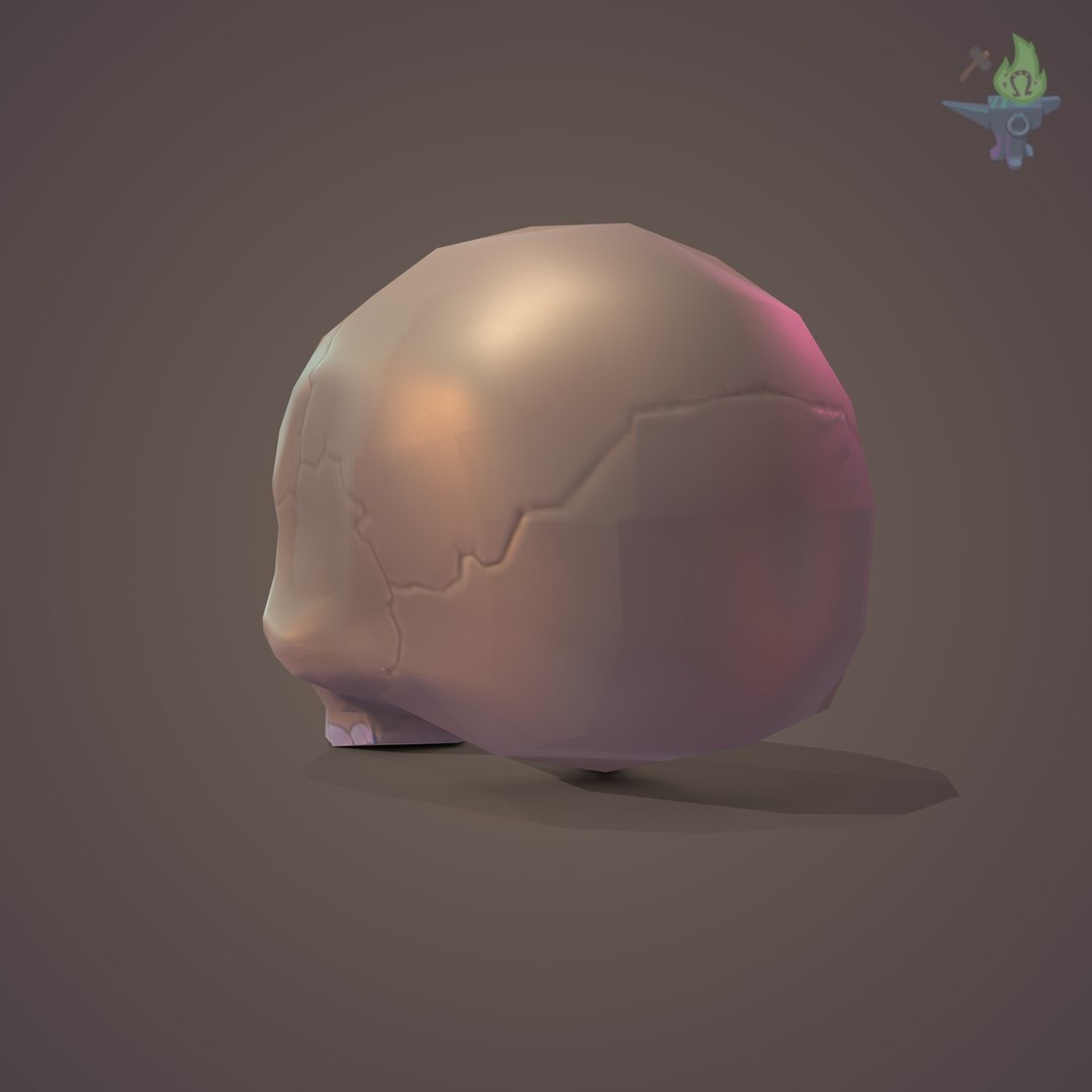 3D Cranium Skull Model - TurboSquid 1346434