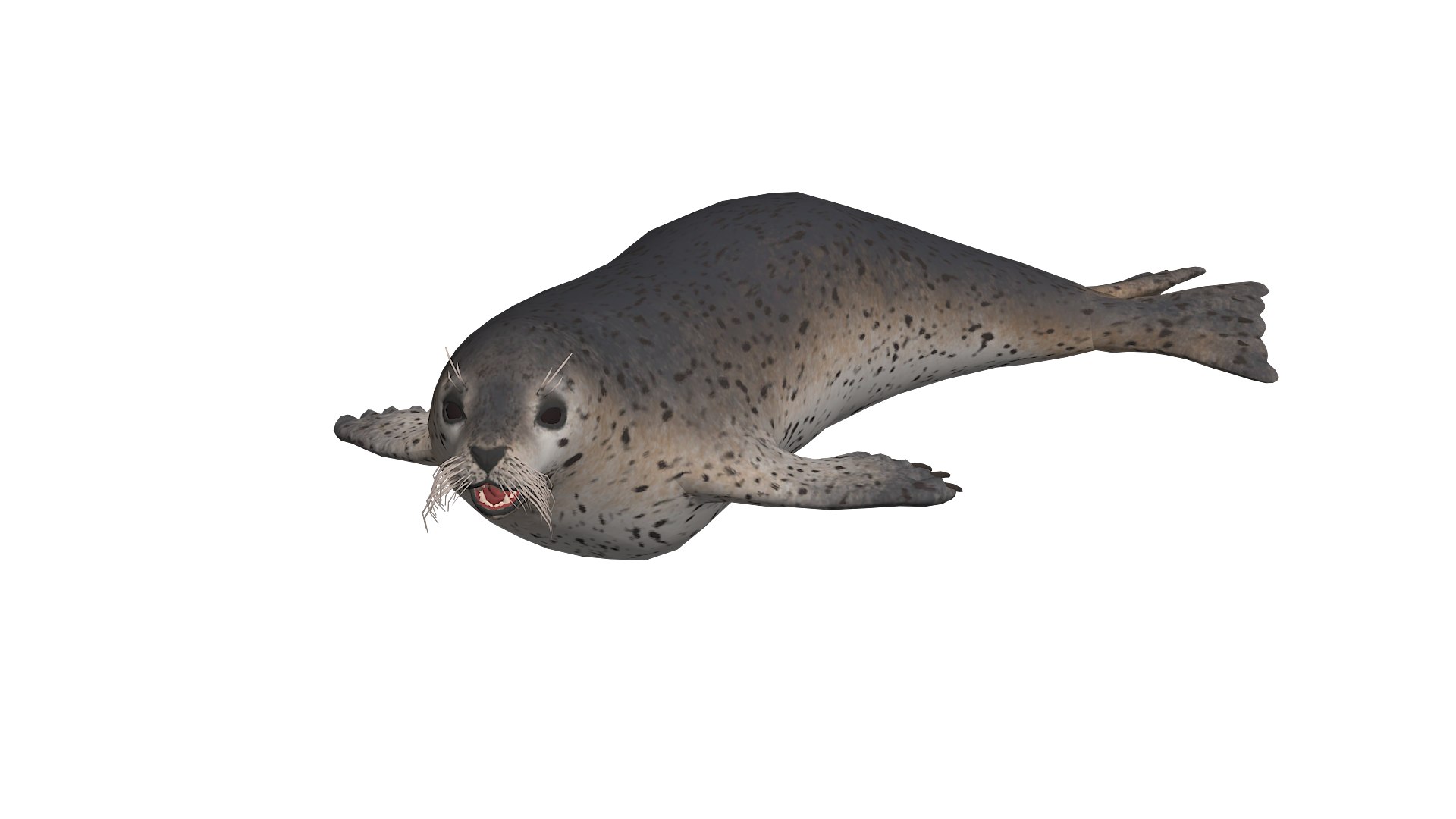 Animated seal 3D - TurboSquid 2152697