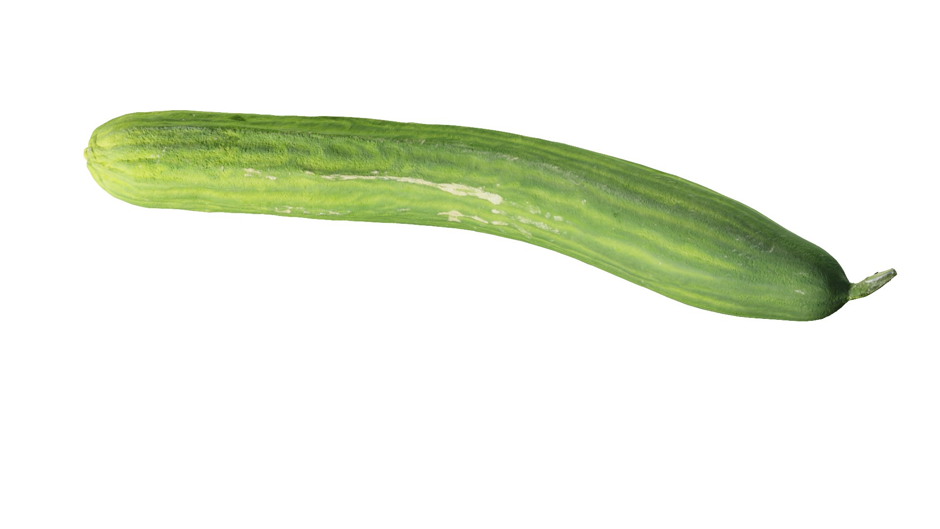 3D Cucumber - TurboSquid 2121543