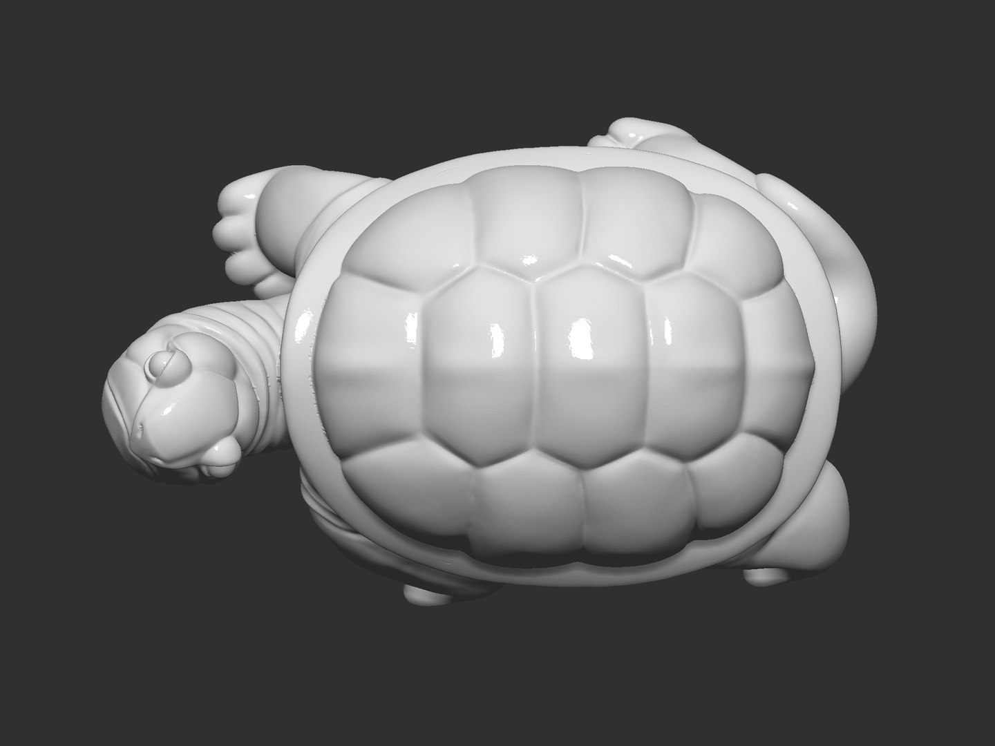 3D Tortoise Model - TurboSquid 2038435