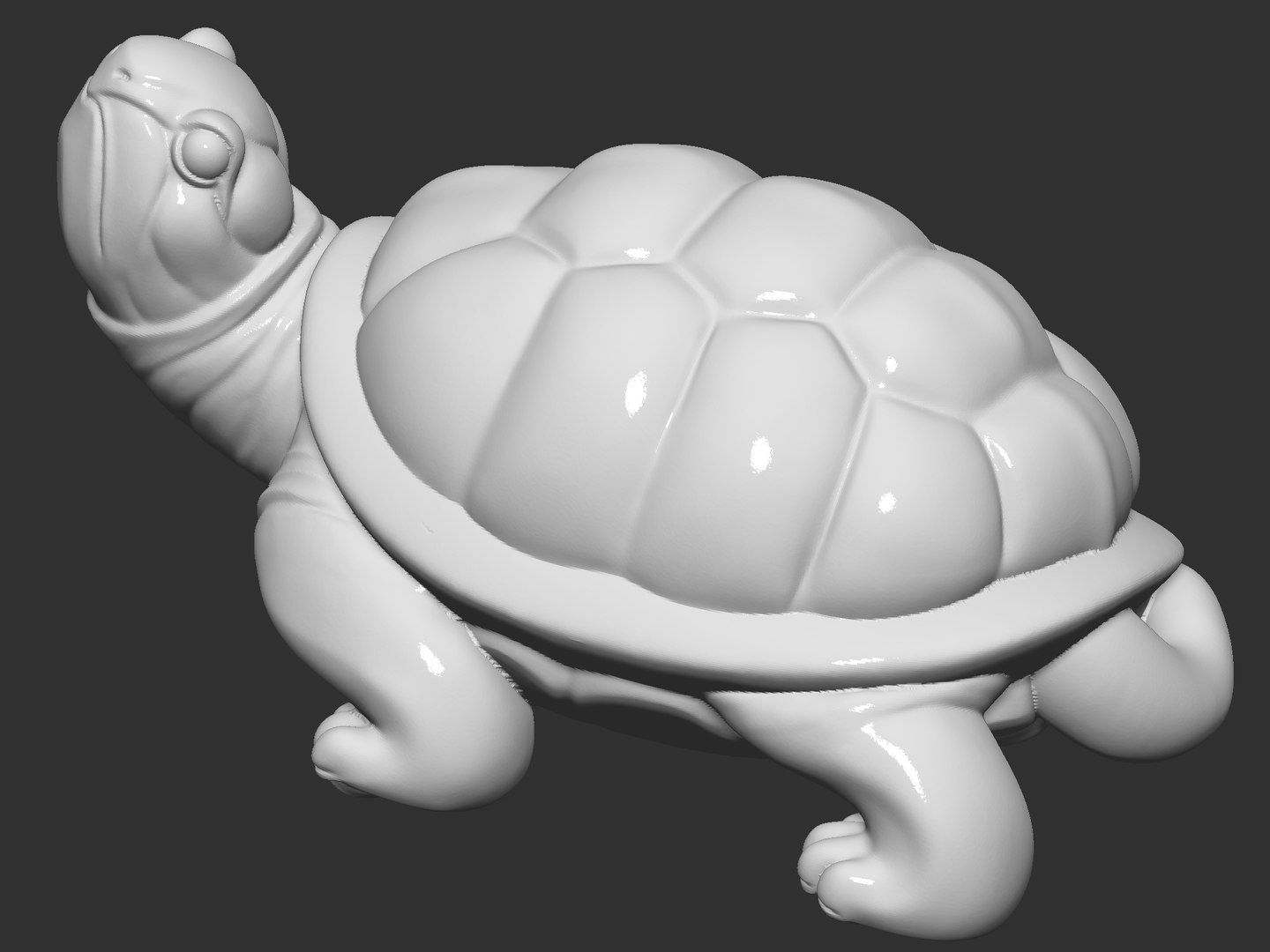 3D Tortoise Model - TurboSquid 2038435