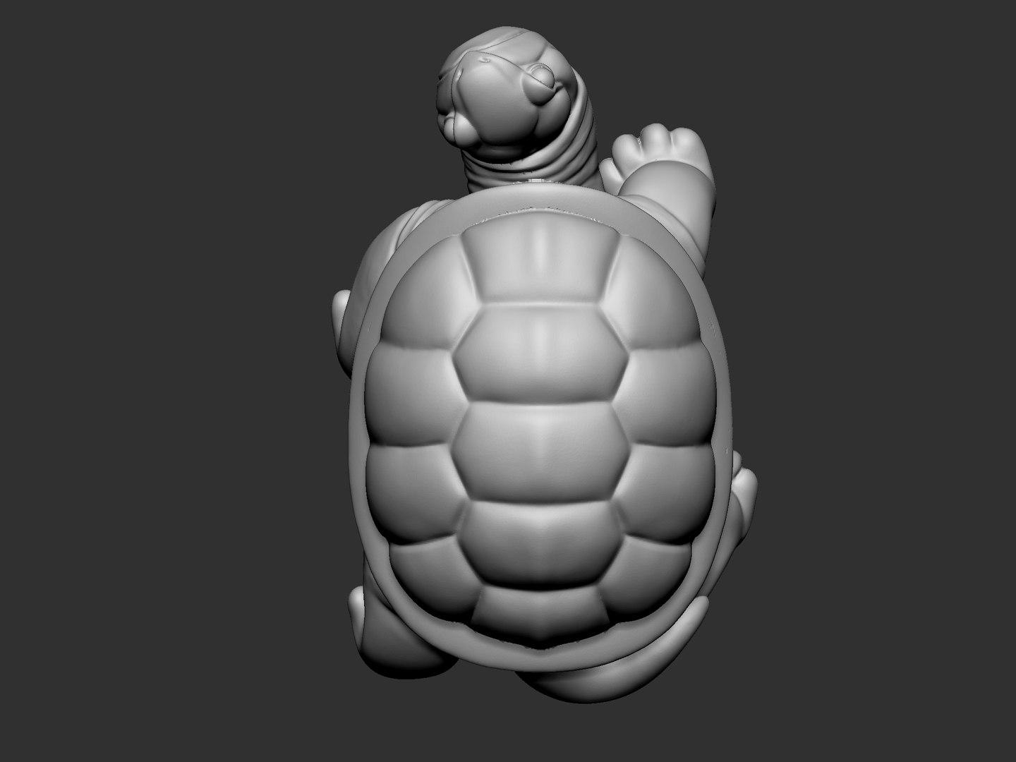 3D Tortoise Model - TurboSquid 2038435