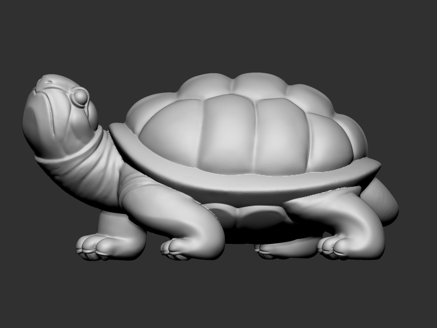 3D Tortoise Model - TurboSquid 2038435
