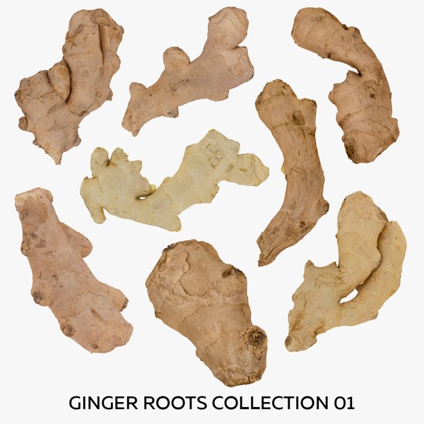 3D ginger root 04 - TurboSquid 1502768